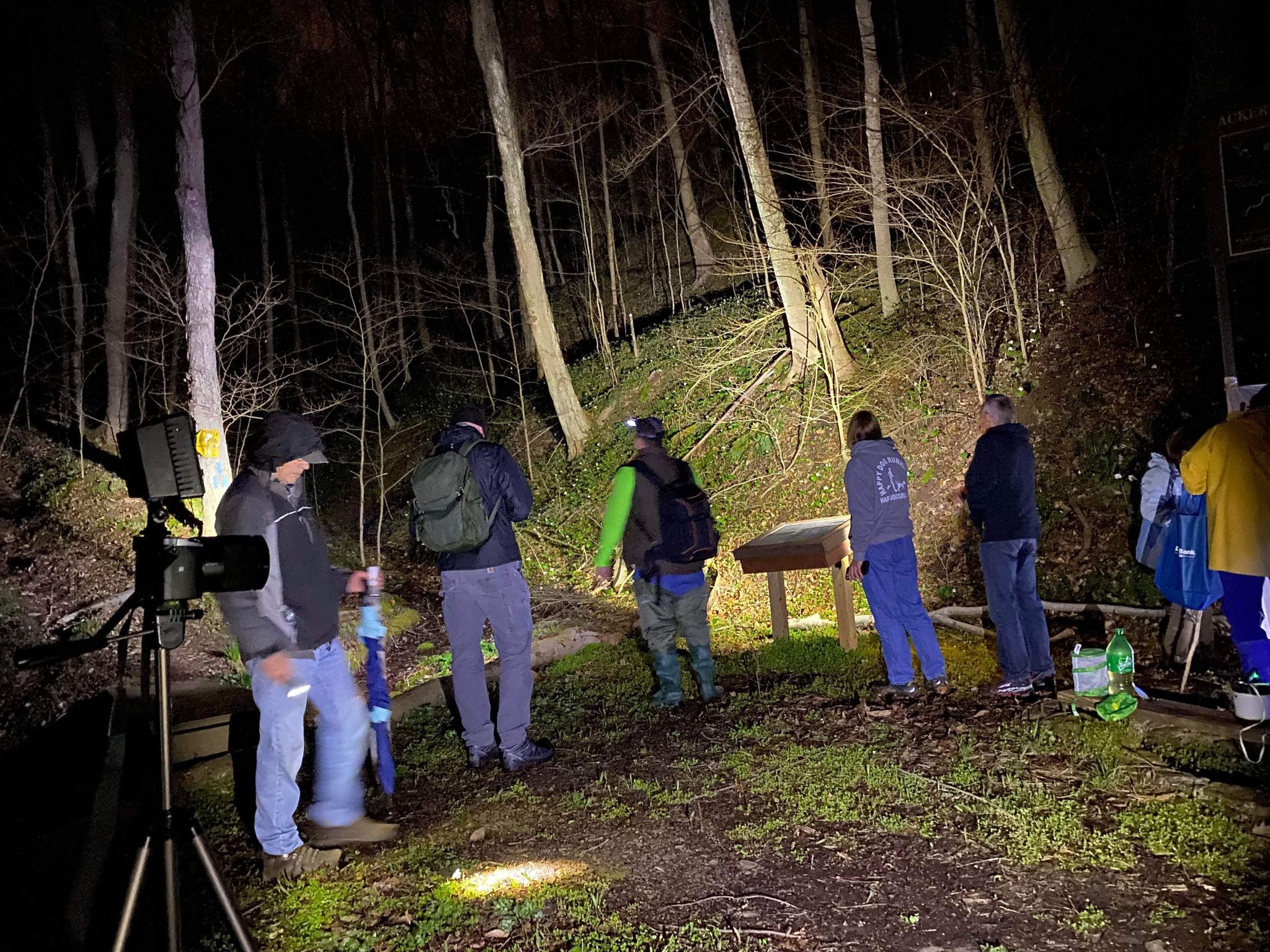 Evening Frog Walk at Ackermann Nature Preserve – Westmoreland Heritage